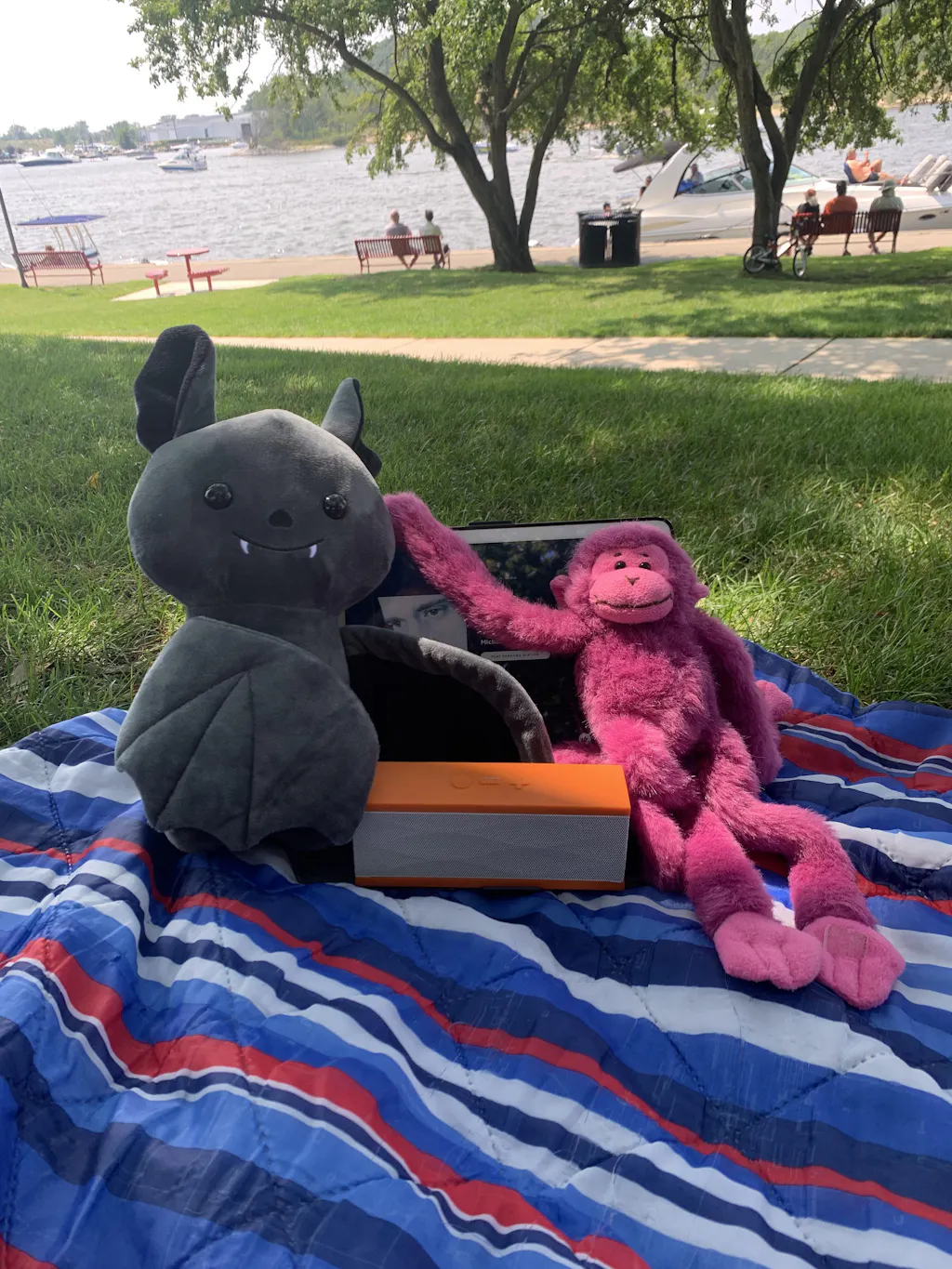 Binks the Bat | SendAFriend's Stuffed Animal Care Packages