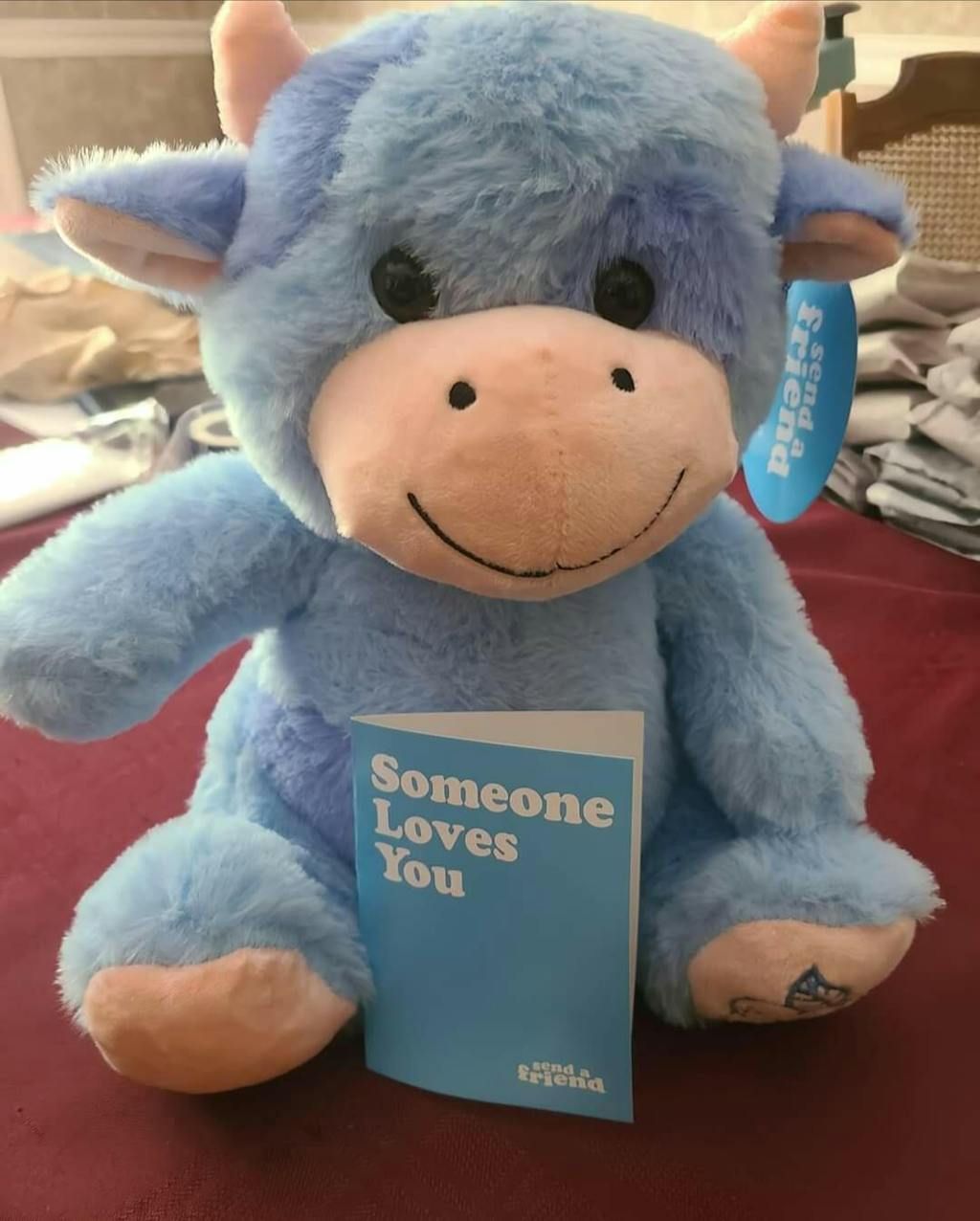 Beau the Blueberry Cow | SendAFriend's Stuffed Animal Care Packages