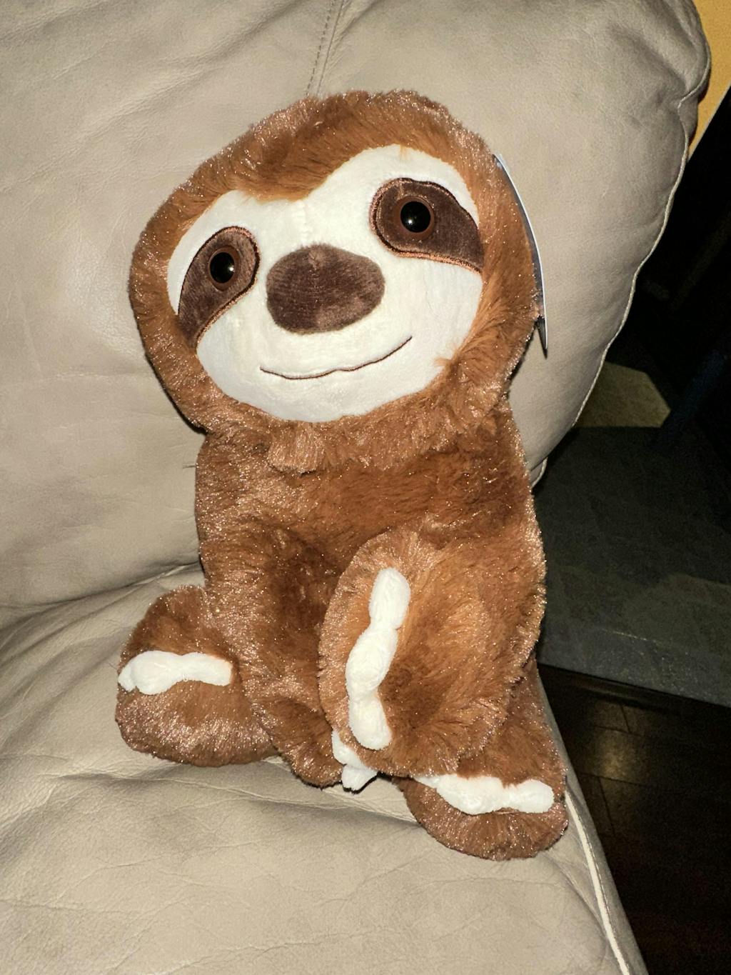 Sam the Sloth Stuffed Animal Care Package - SendAFriend