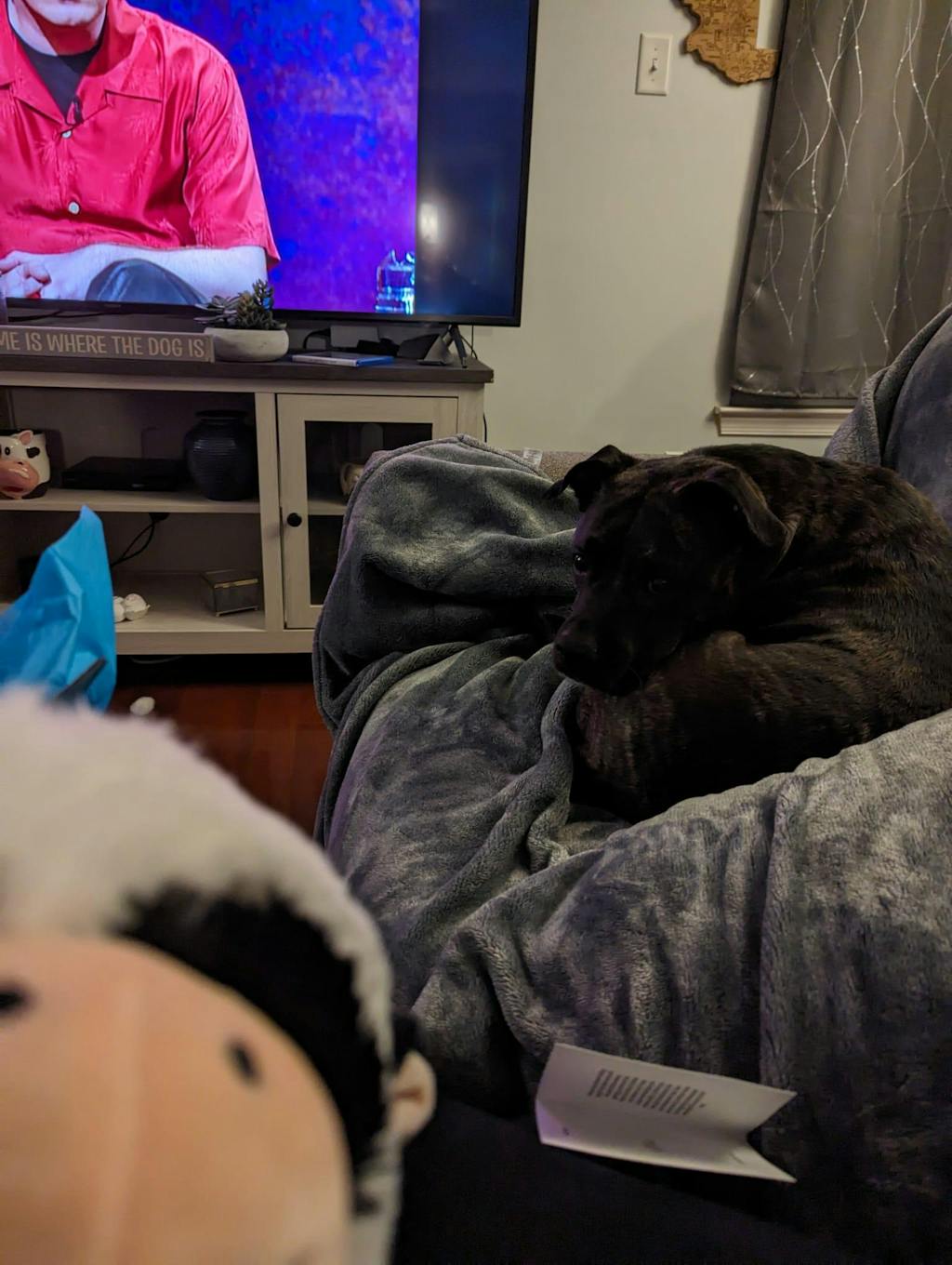 Cooper the Cow Stuffed Animal Care Package - SendAFriend