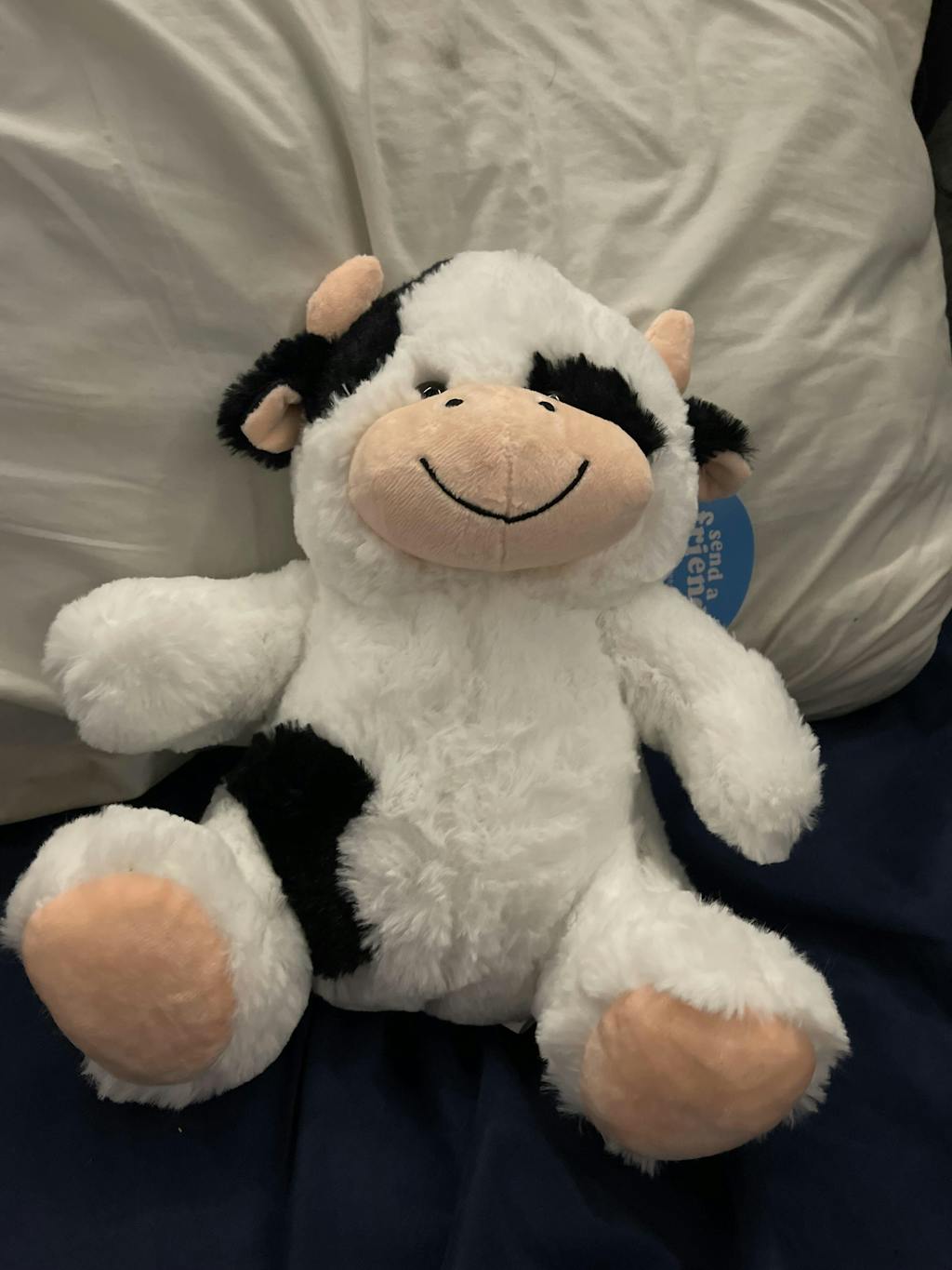Cooper the Cow Stuffed Animal Care Package - SendAFriend