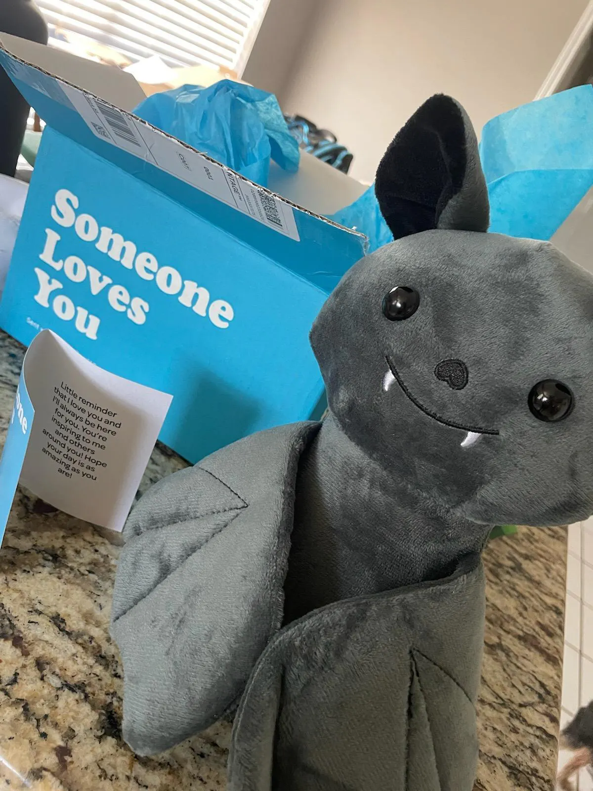 Binks the Bat | SendAFriend's Stuffed Animal Care Packages