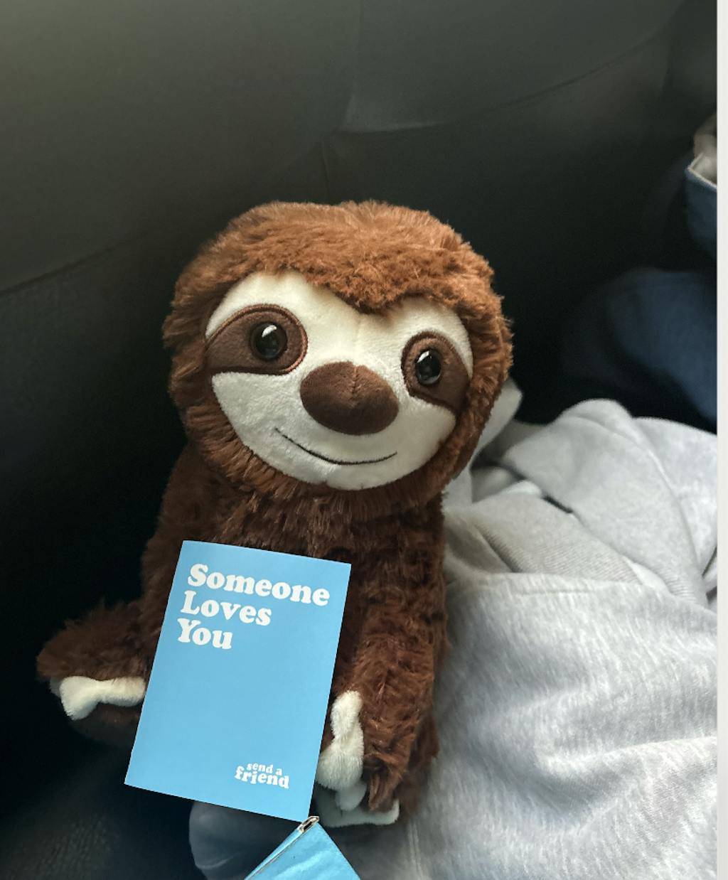 Sam the Sloth Stuffed Animal Care Package - SendAFriend