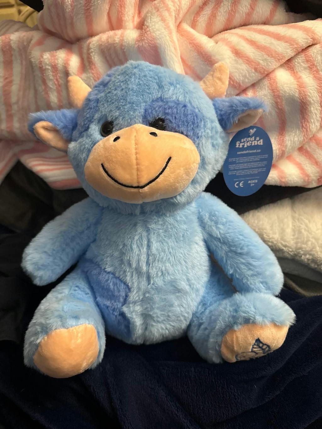 Beau the Blueberry Cow Stuffed Animal Care Package - SendAFriend