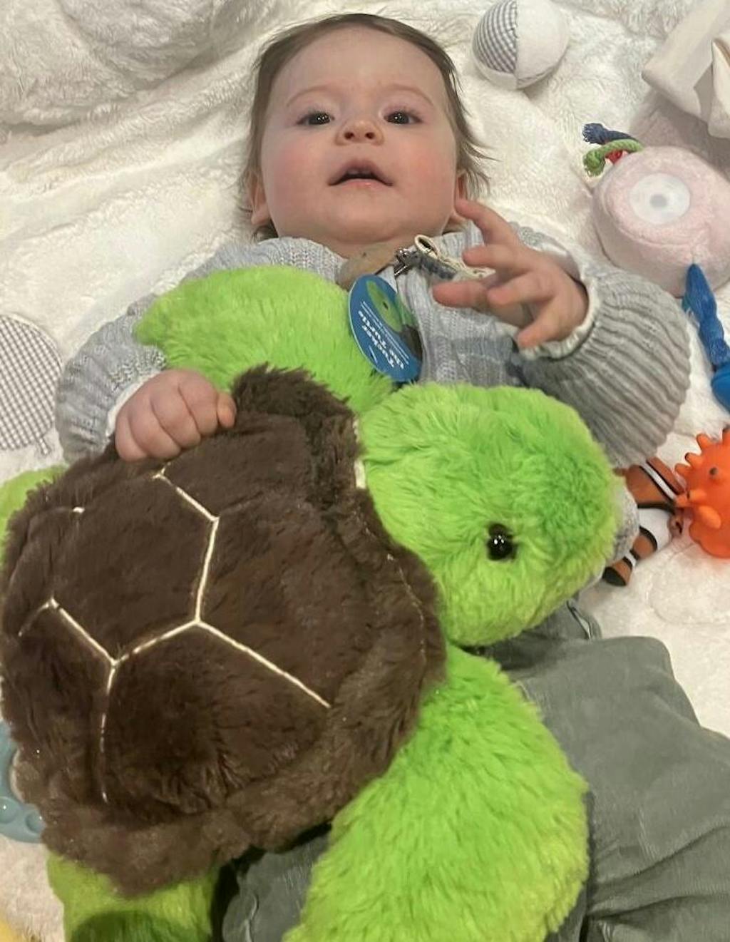 Tucker the Turtle Stuffed Animal Care Package - SendAFriend