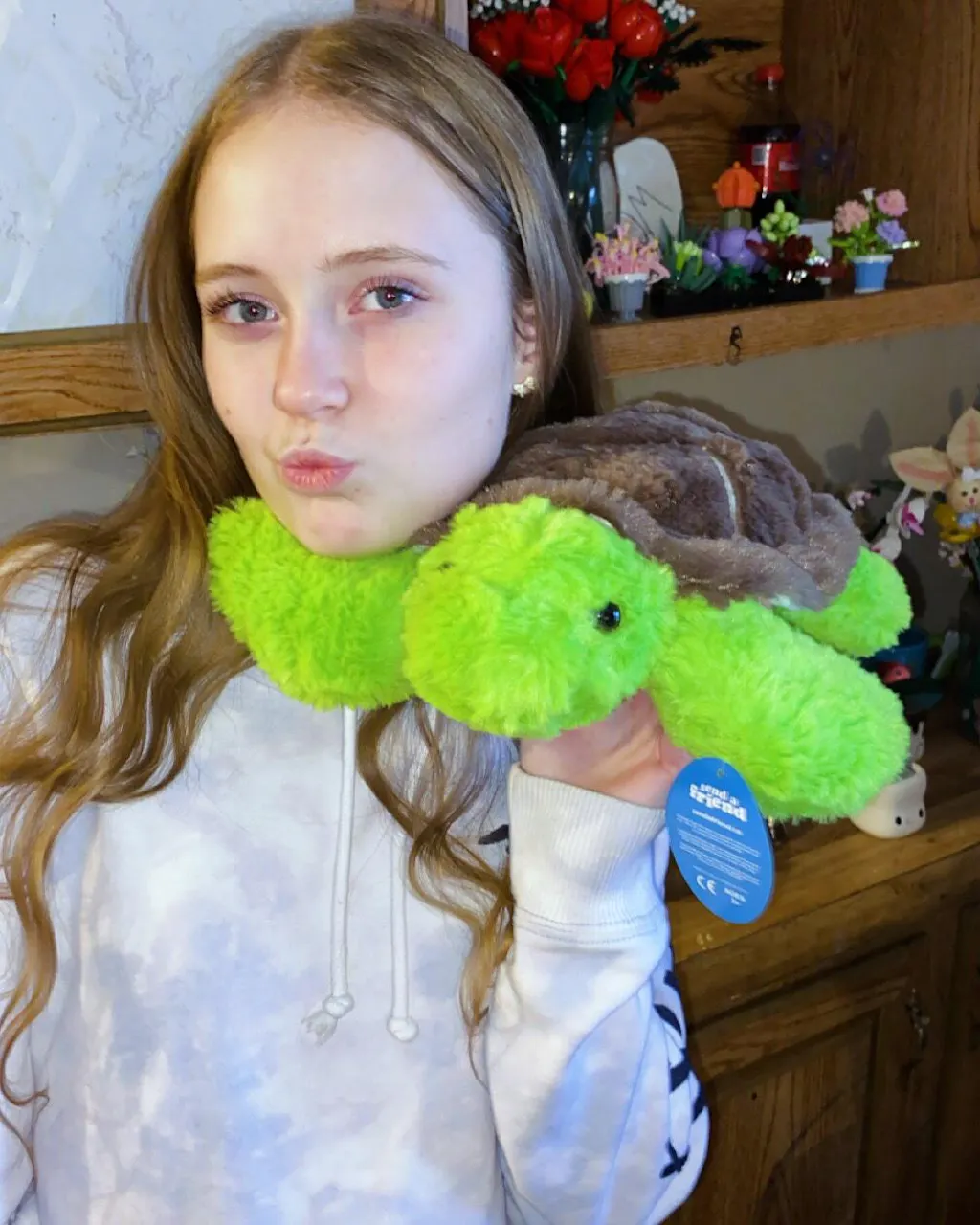 Tucker the Turtle Stuffed Animal Care Package - SendAFriend