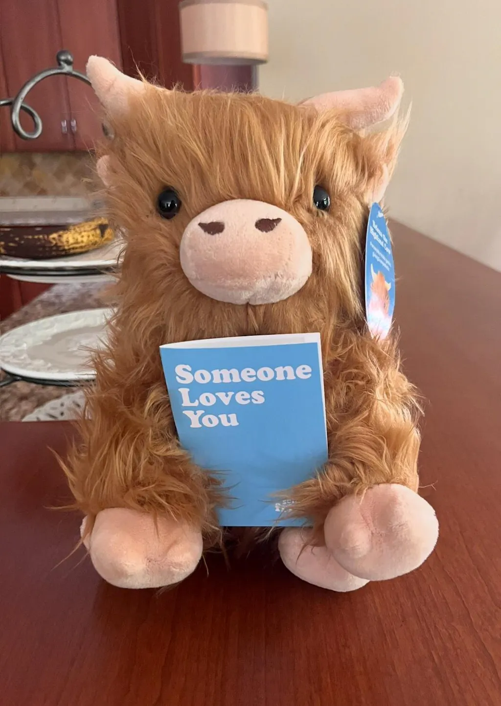Helena the Highland Cow Stuffed Animal Care Package - SendAFriend