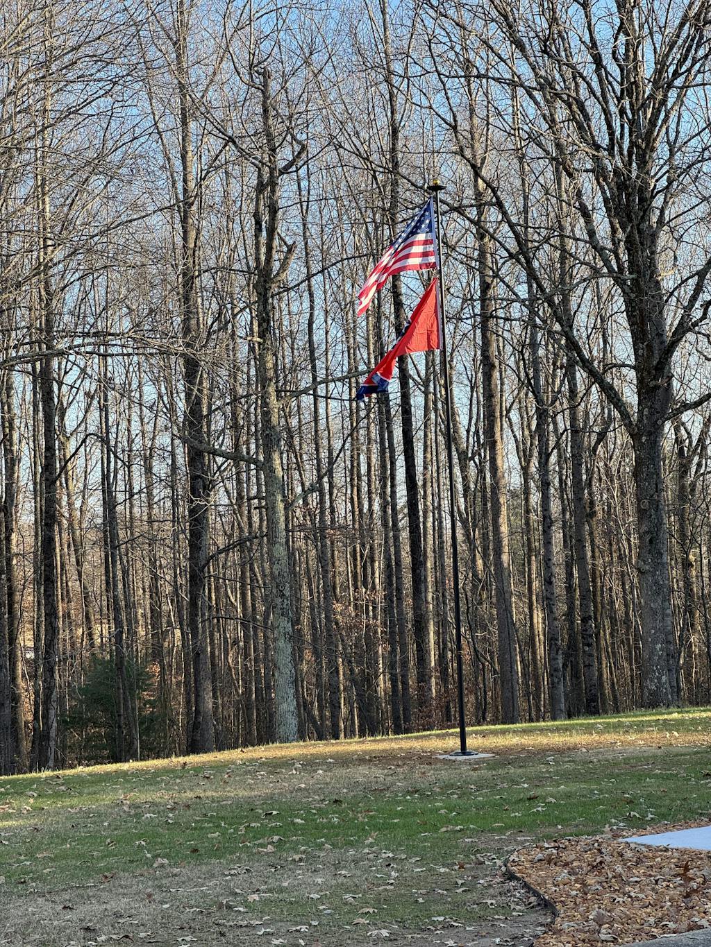 20' or 25' Delta TELESCOPING Flagpole "Freedom Edition" (Black ...