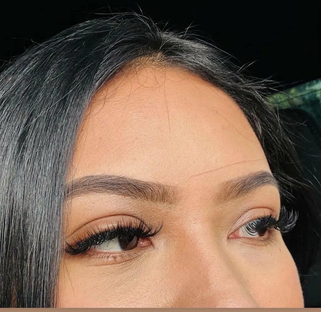 FREE SAMPLE - Sevenlash