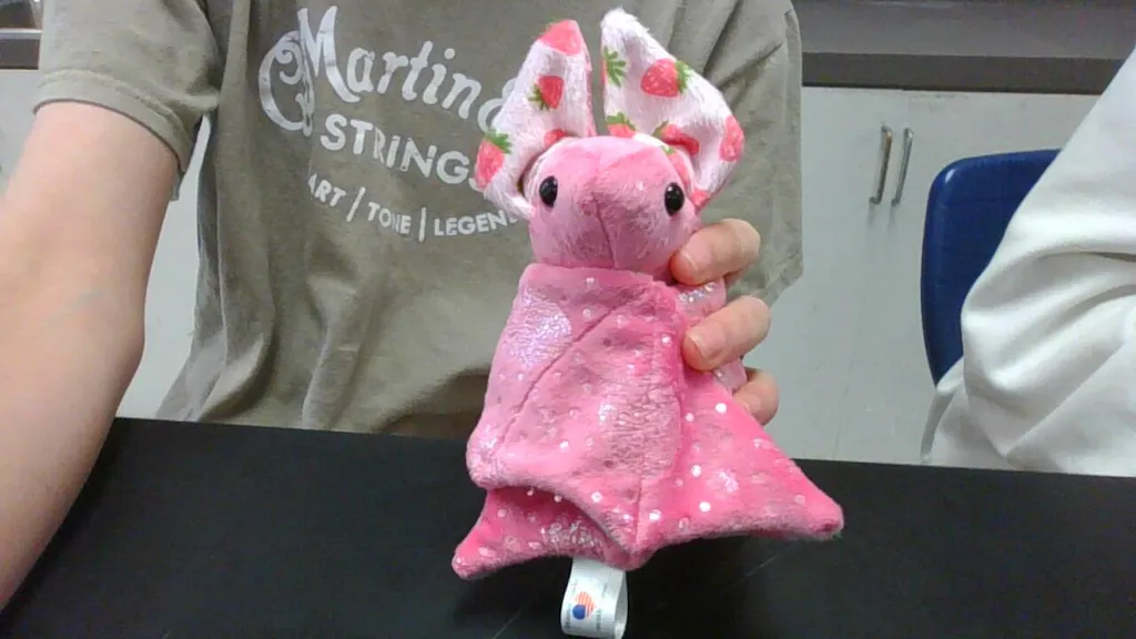 A Special Limited Edition Pink Strawberry Bat Plush (READY TO SHIP ...