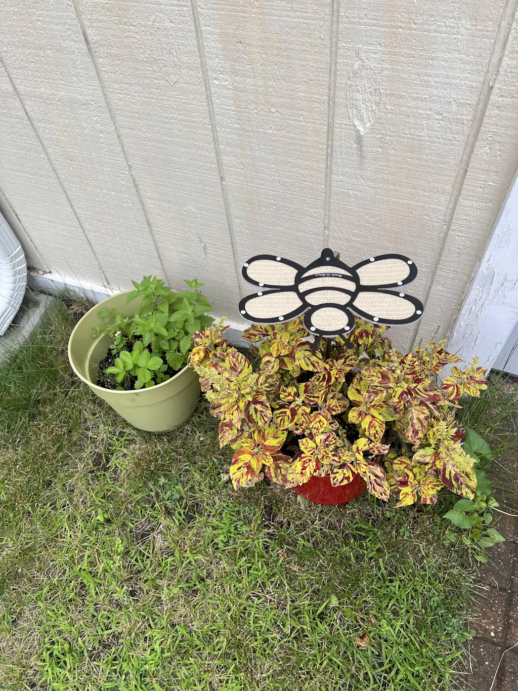 10 inch Bee, Black frame with light Yellow 90% shade cloth – Shade-A-Rella