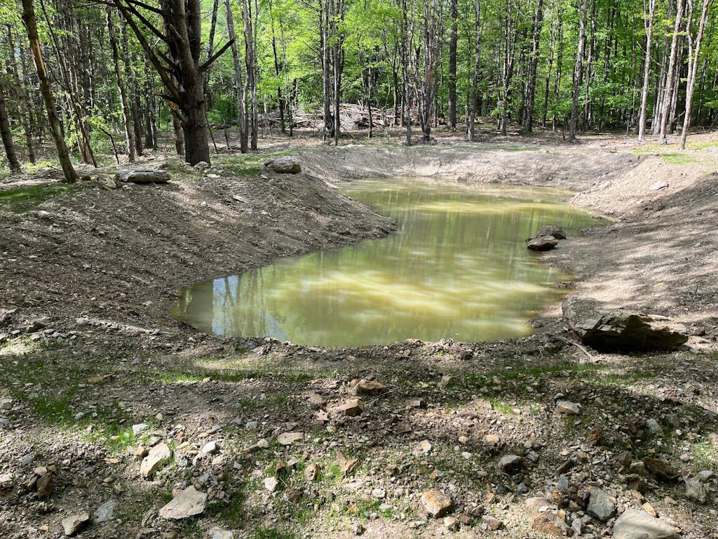 Damit Dam Sealer – 15lt / 4 Us Gal - Shalex Industries