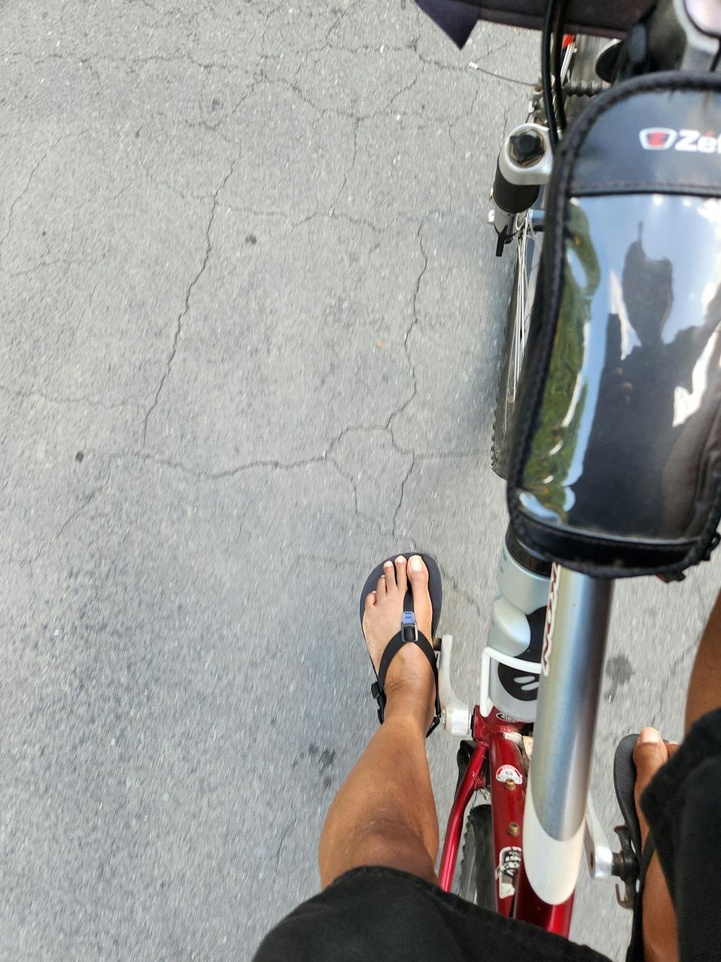 Pacific Avenue: Brown - Shamma Sandals