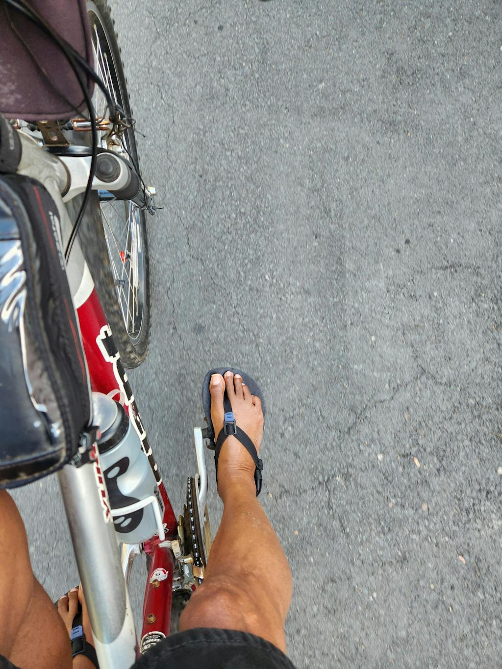 Pacific Avenue: Brown - Shamma Sandals