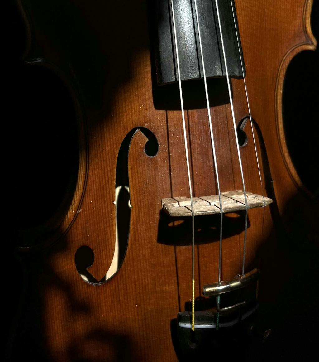 Blue Infeld 4/4 Violin G String - eCommerce