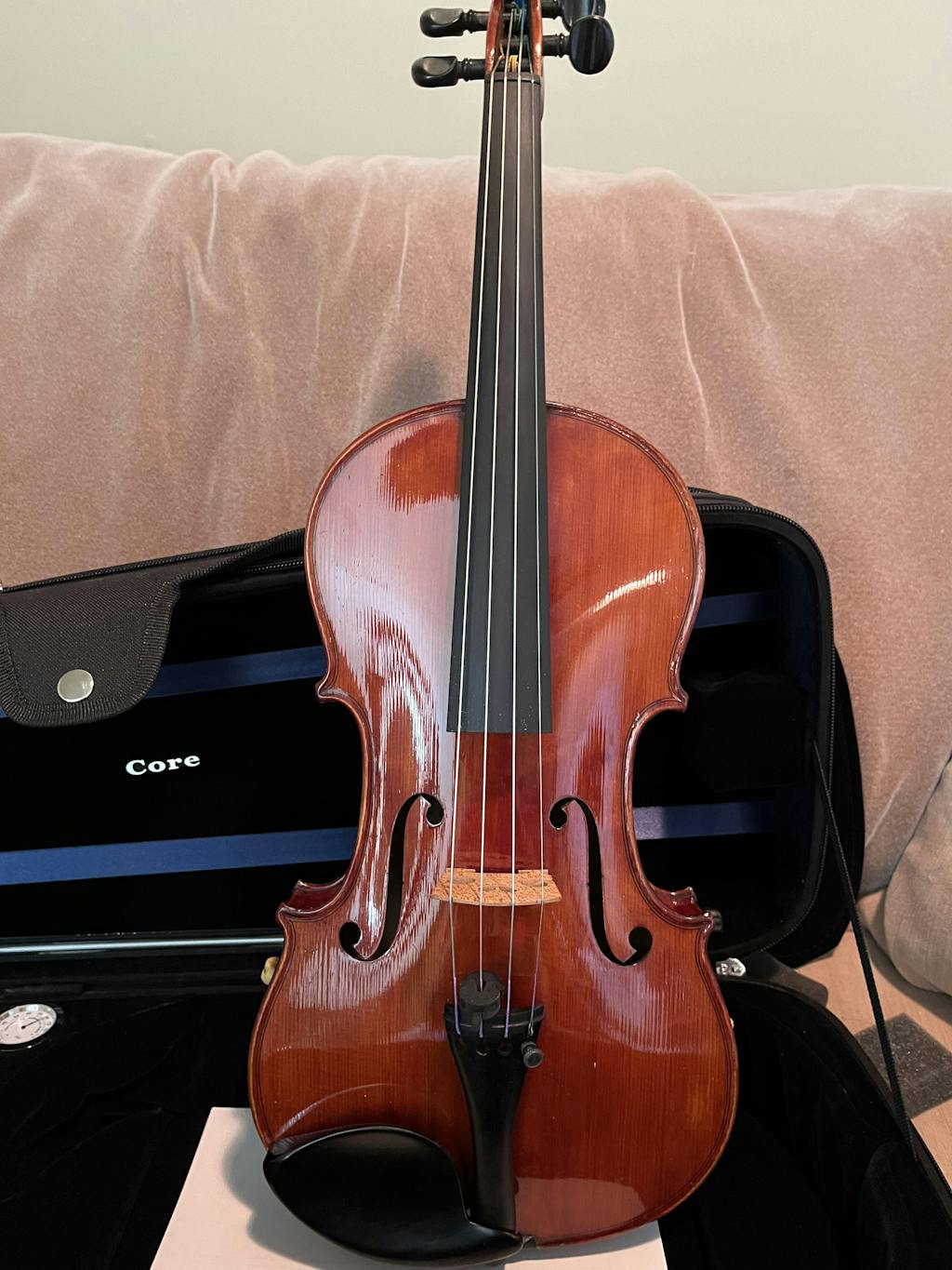 Tin-Plated Violin String Set: E & Silver D