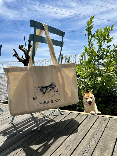 SHIBA & Co.™ Official Site | Luxury Lifestyle Dog Accessories | SHIBA & CO.