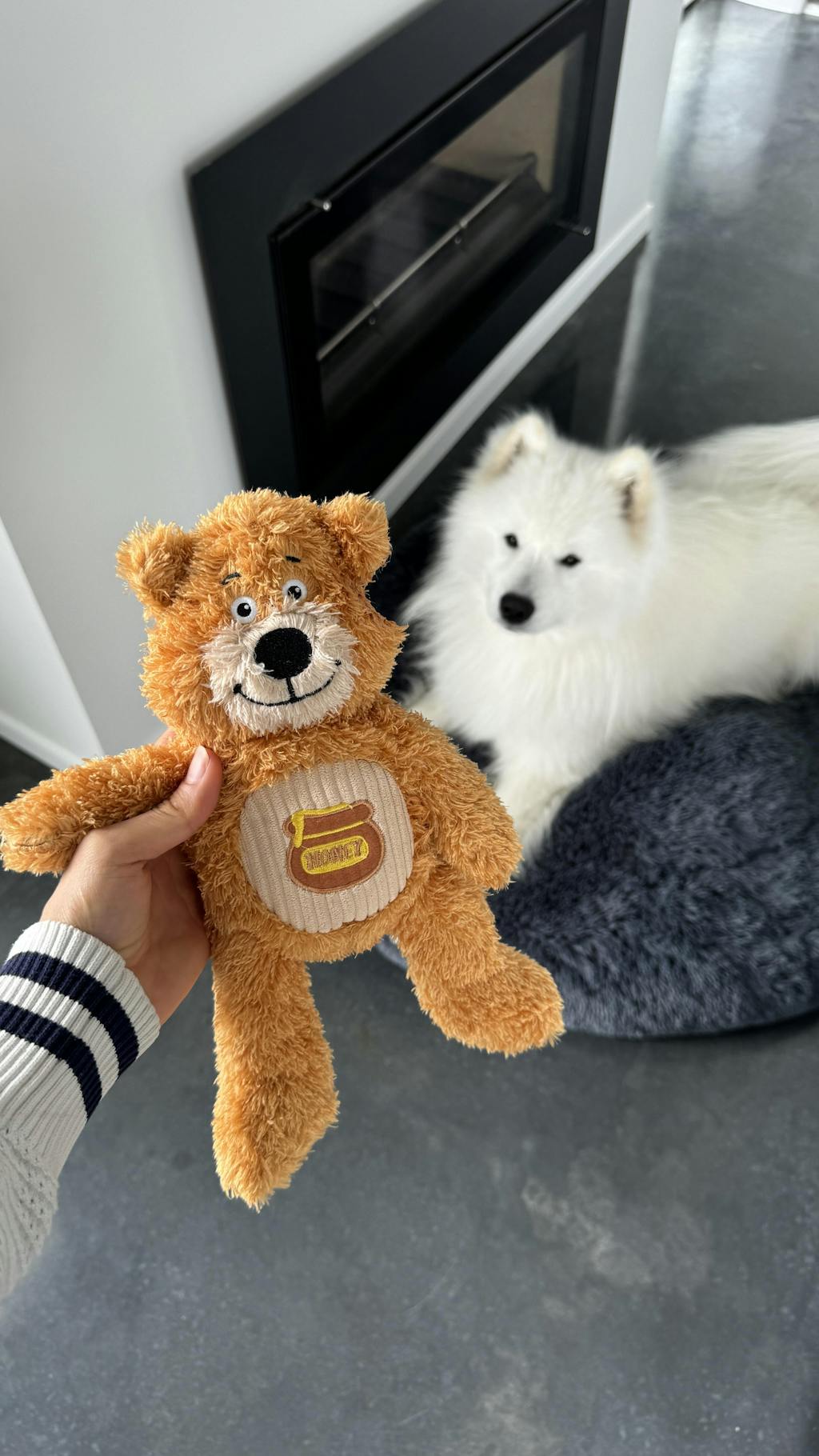 The Home of Pet Supplies in NZ | Pet Store NZ | Shine Pets