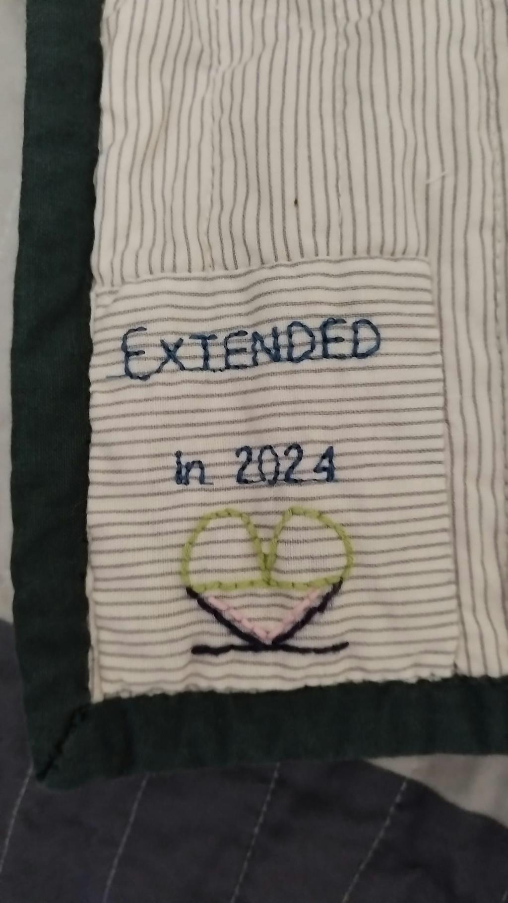 Buttonholes Quilt Pattern – Shiny Happy World