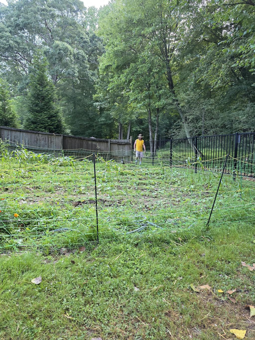 Power Wizard Small Animal Electric Fence Kit (GS-50) - Keep Small ...