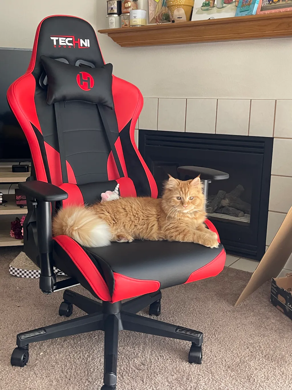 Techni Sport High Quality PU Leather Gaming Chair — Shopango.com