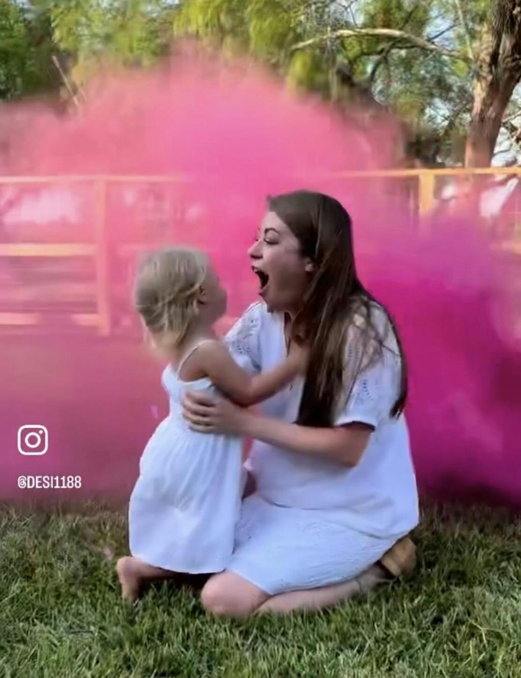 Best Gender Reveal Smoke Bombs - Smoke Bombs for Gender Reveals