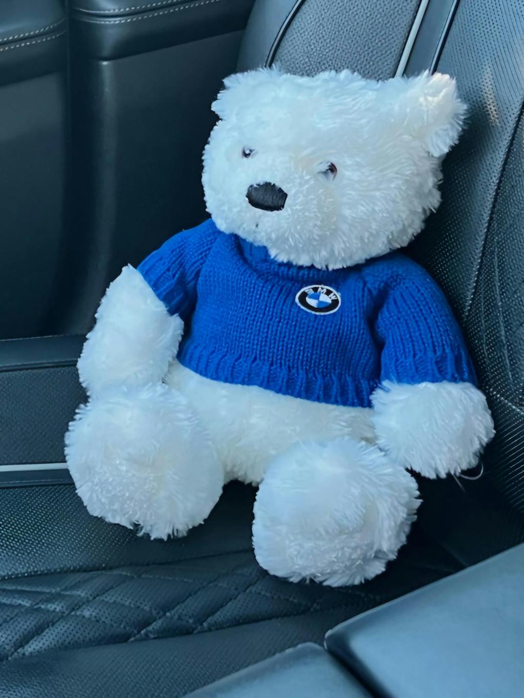 BMW Plush Bear Toy by Gund – Sierra BMW Motorcycle