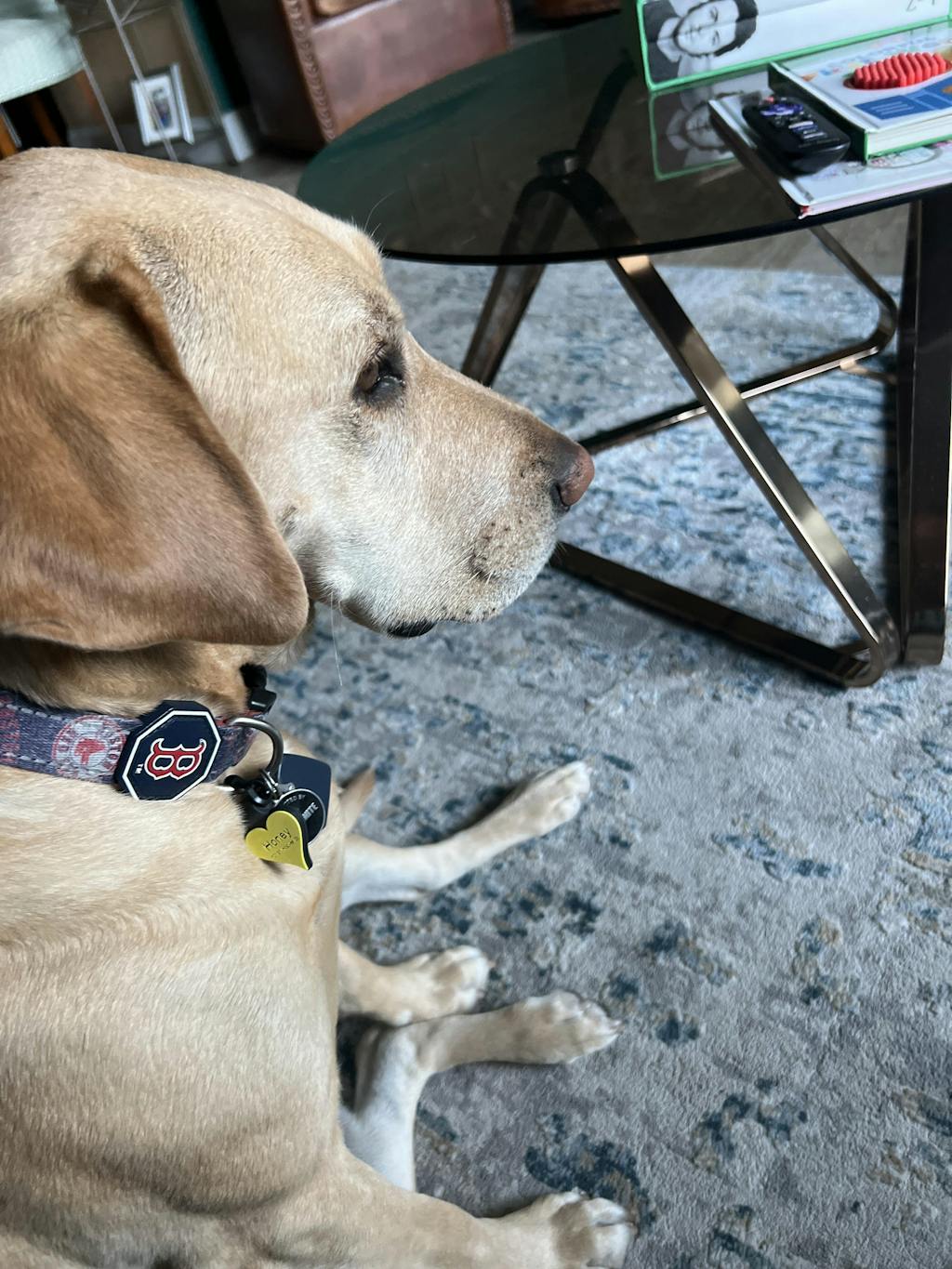 Durable Yellow Heart Pets Tags | Designer Pet Id Tags | SiliDog ...