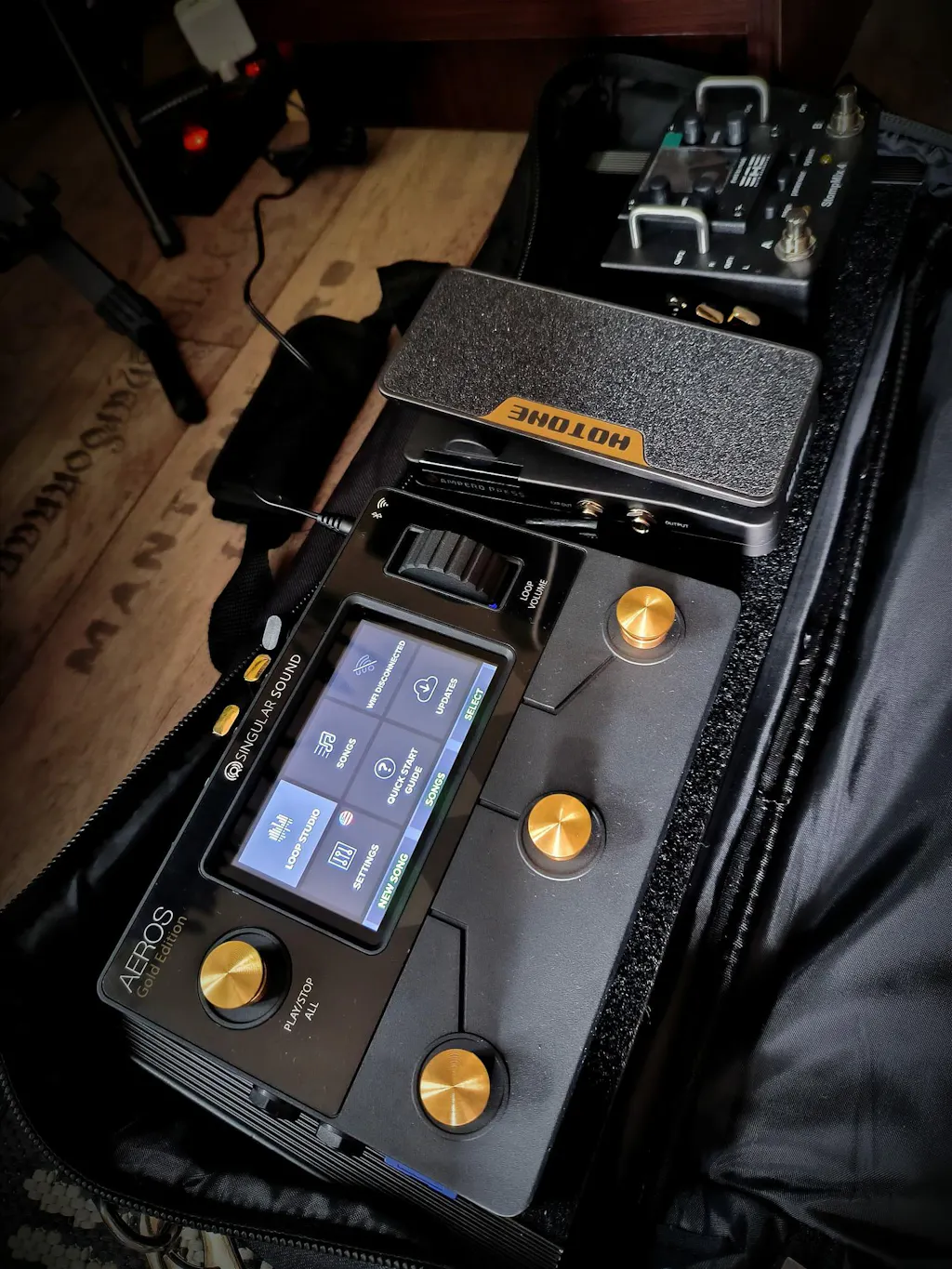 Aeros Gold Edition: Multi-track Looper Pedal with Silent Buttons ...