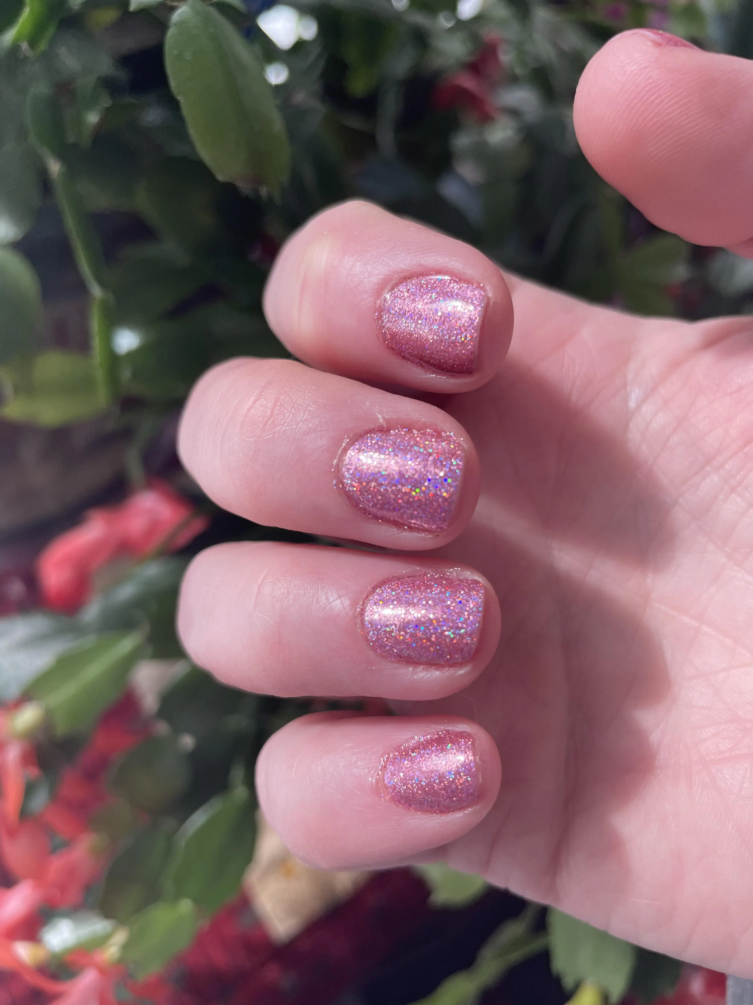 Reviews | Sistaco™ UK