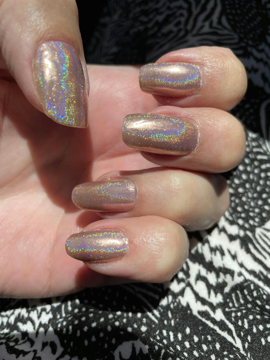 The Powder Trio Pack | Sistaco