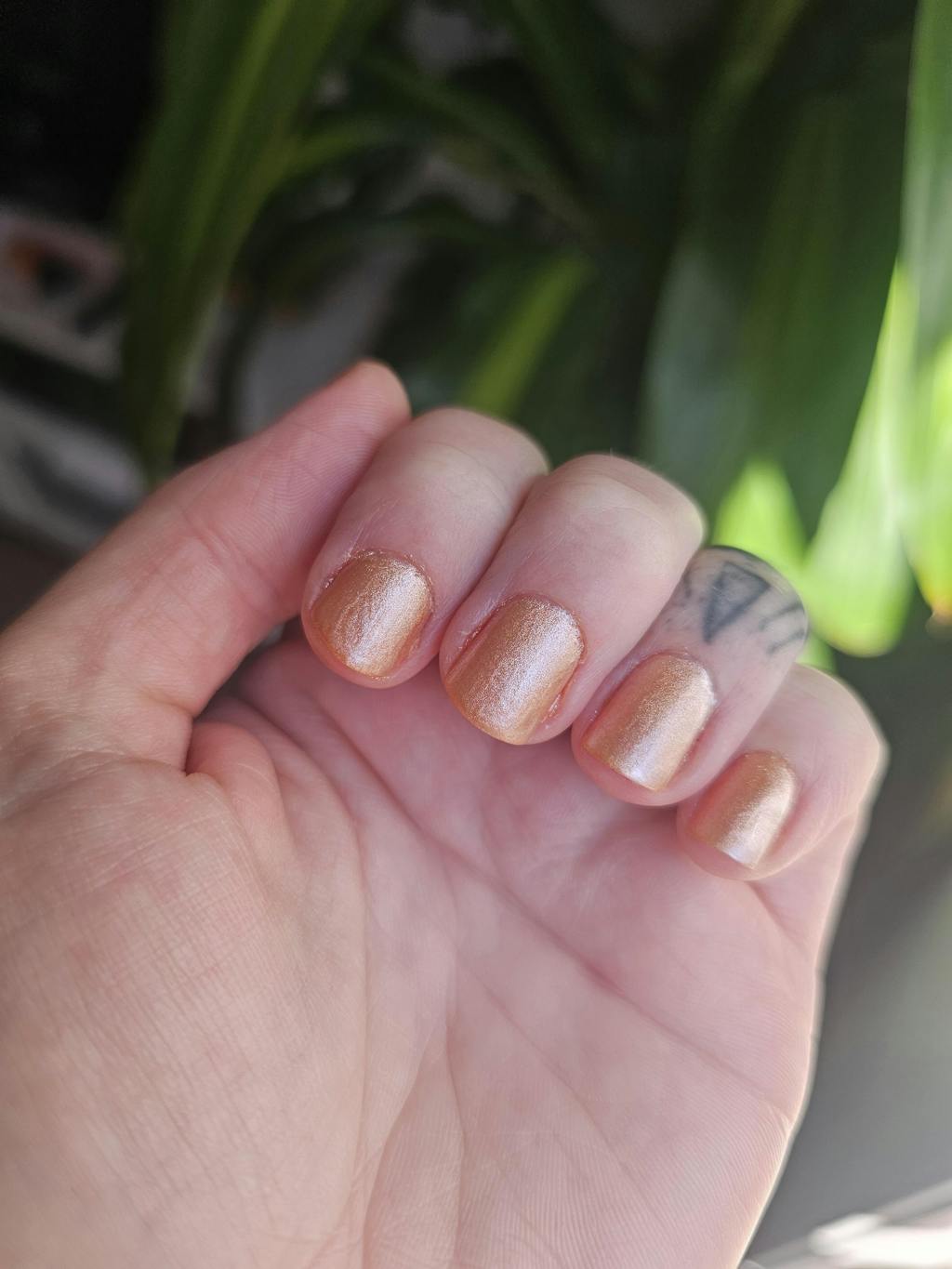 Sistaco Reviews - Nail Set Reviews, Nail Powder Reviews | Sistaco™ USA