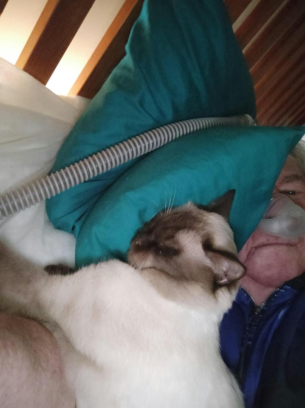 Best natural sleeping tablets - help you sleep easier, deeper, longer ...