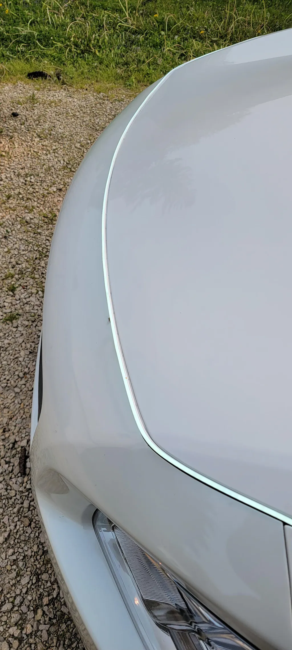 SilverHolder™ Dynamic Car Hood LED Strip – SilverHolder