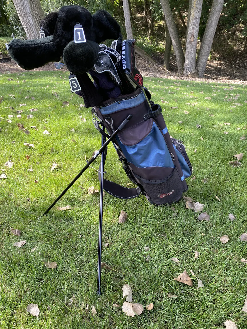 SMART GOLF STAND 2.0: Turn your Cart bag into a Stand Bag! – Smart Golf ...