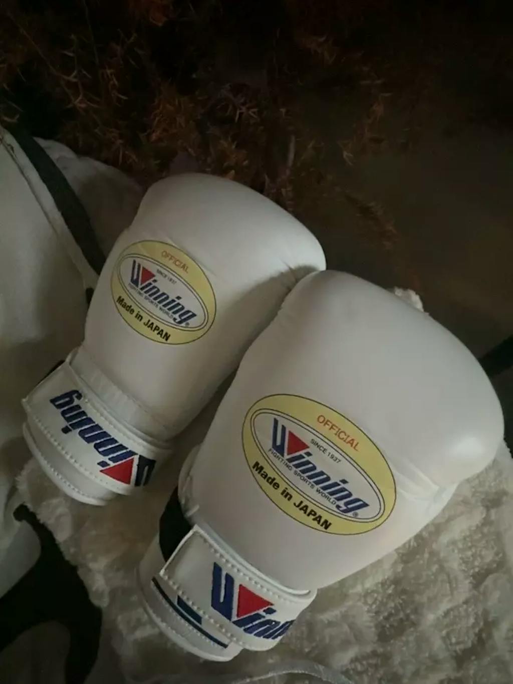 Smash Fight Gear | Boxing Gloves & MMA Gear at Unbeatable Prices