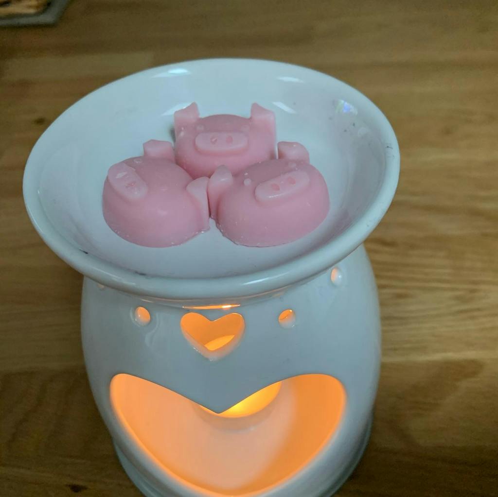 Smelly Pigs® - Pinky Sands Wax Melts – SmellyPigs®