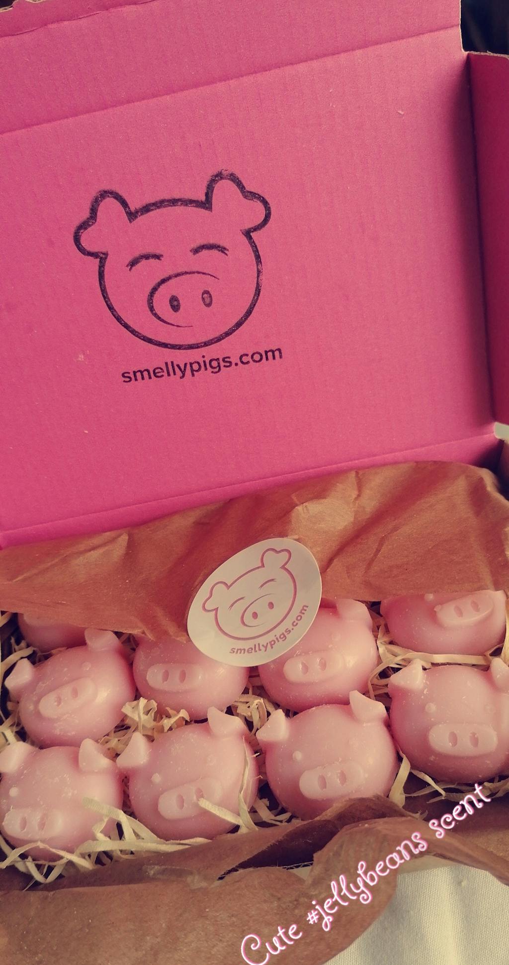 Smelly Pigs® - Raspberry Daiquiri Wax Melts – SmellyPigs®