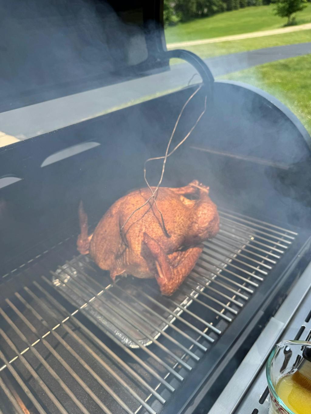 Pecan Shell Pellets - 20 LB Box - 100% Pecan Smoking Pellets For BBQ ...