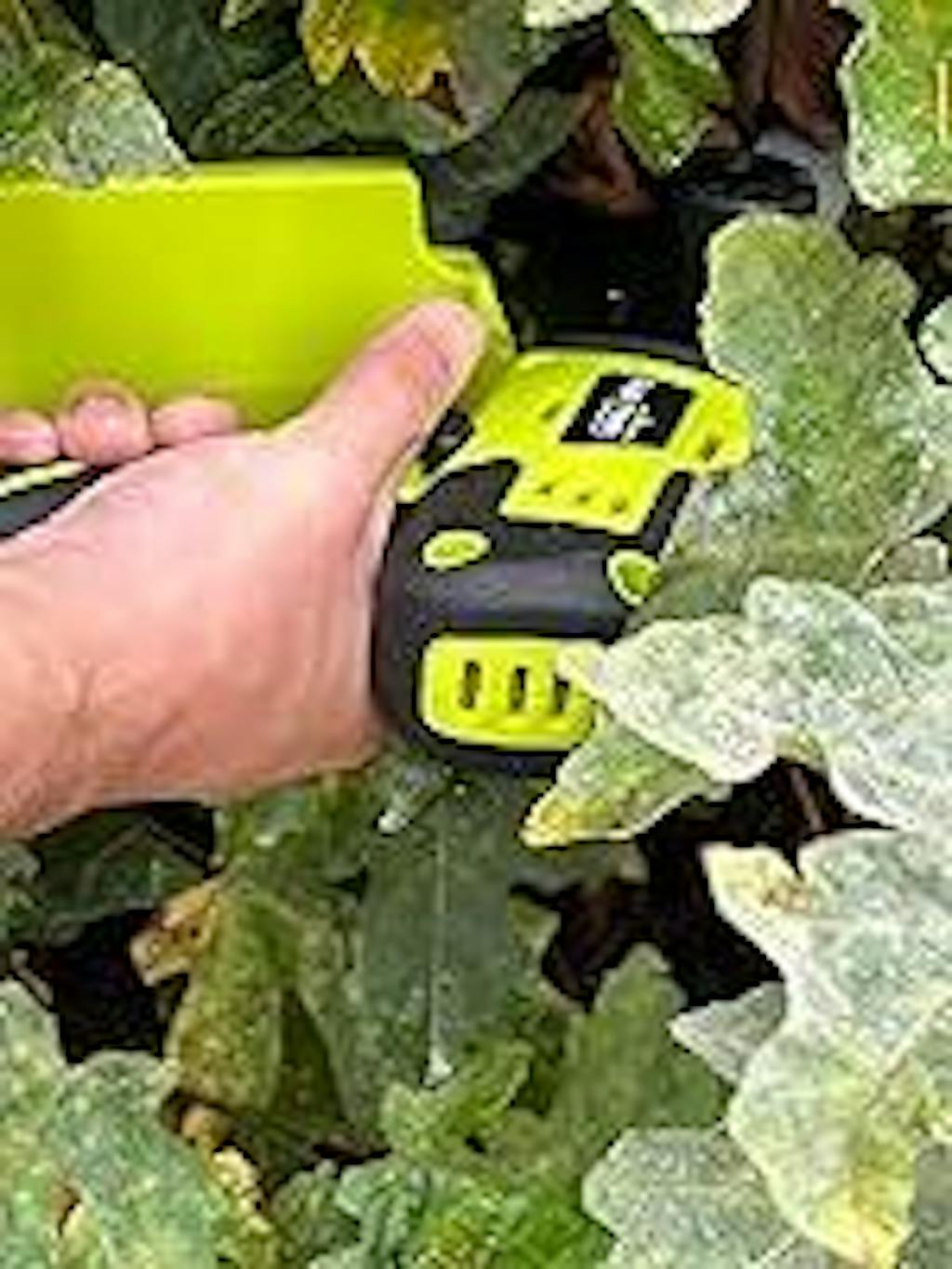 20V Cordless 5 Inch Mini Chainsaw, 2.0Ah Li-Ion Battery And Charger (M ...