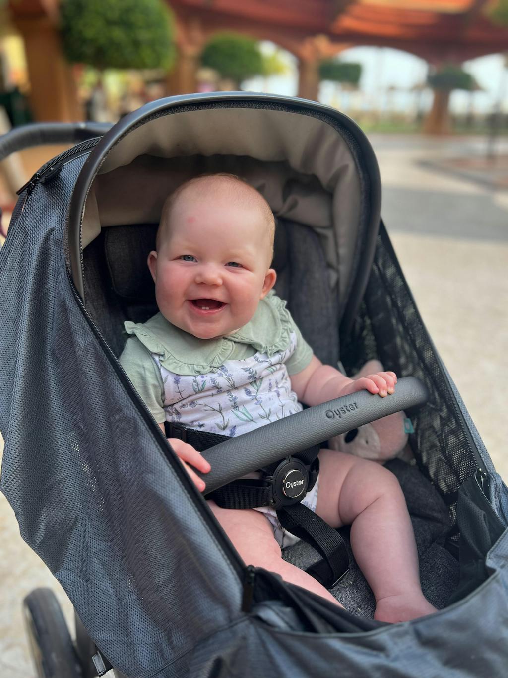 SnoozeShade Plus Deluxe (6m+) | Pushchair sun & sleep shade | SnoozeShade