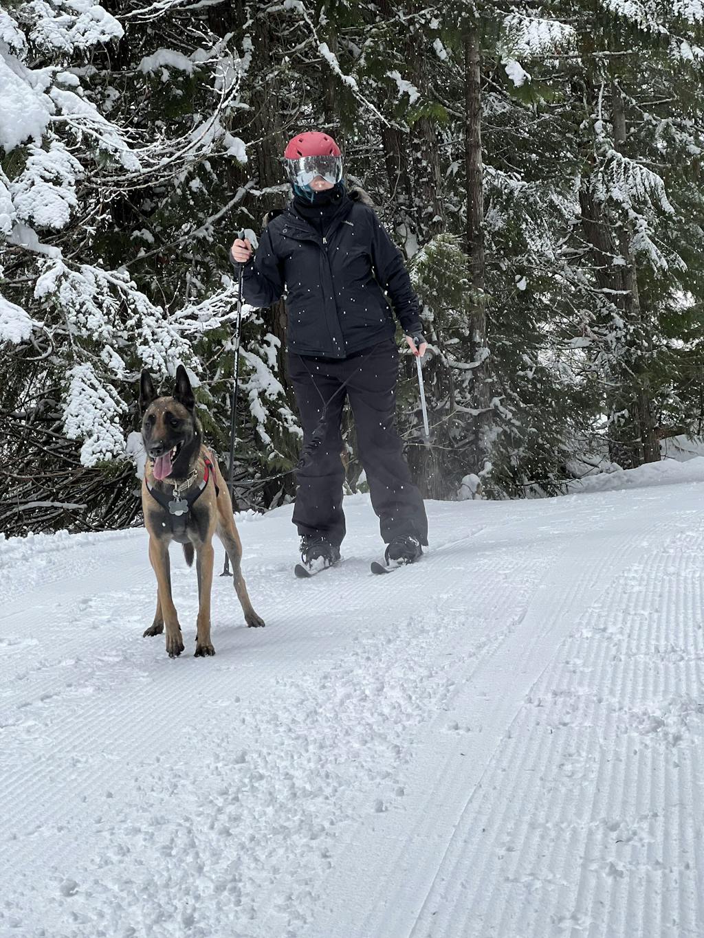 Snowfeet* NORDIC | Cross-country Skate Skis