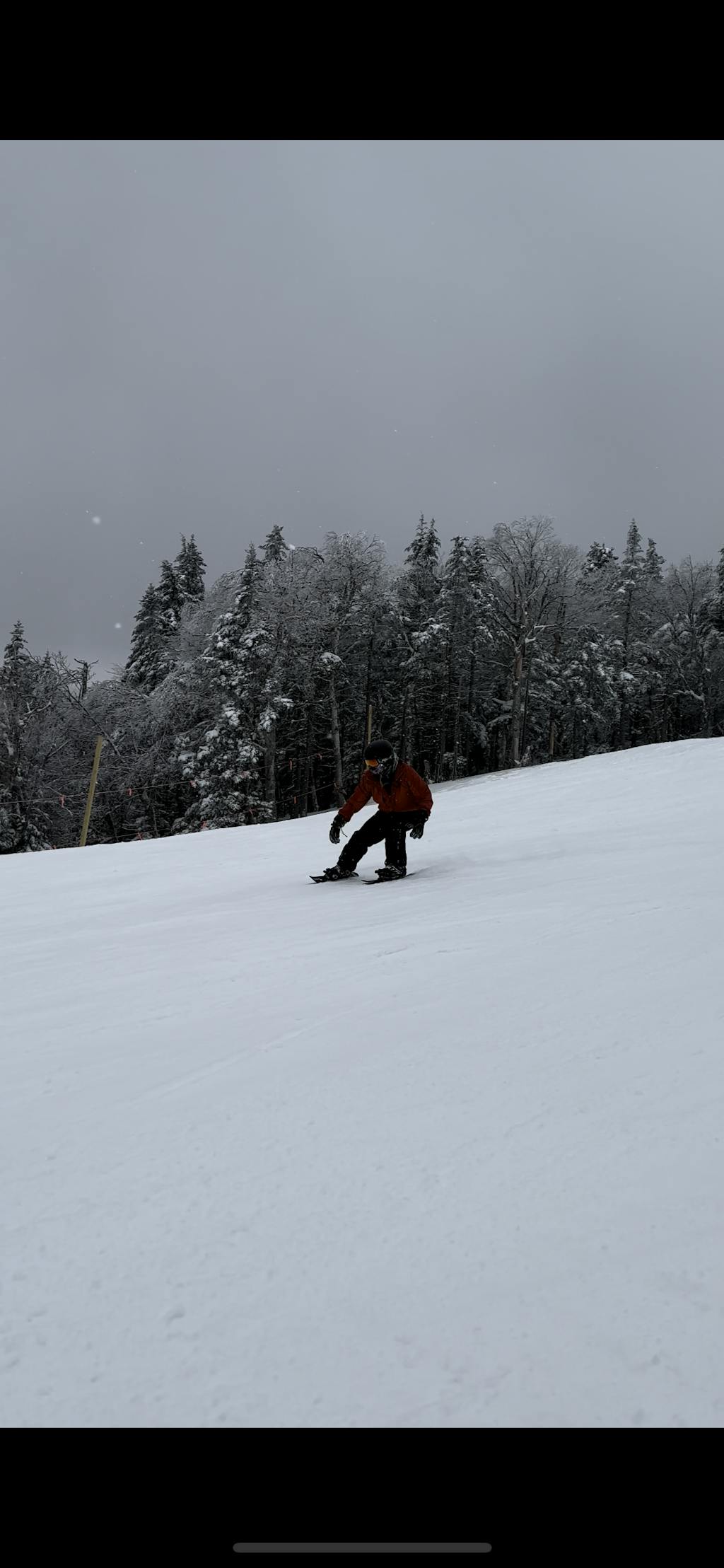 Skiboards by Snowfeet* - 65 cm |Skiblades, Snowblades, Short Mini Skis