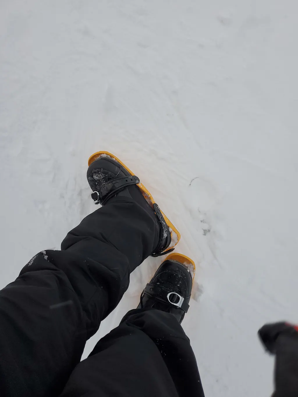 Snowfeet Basic | Basic Model | Official Snowfeet® Store