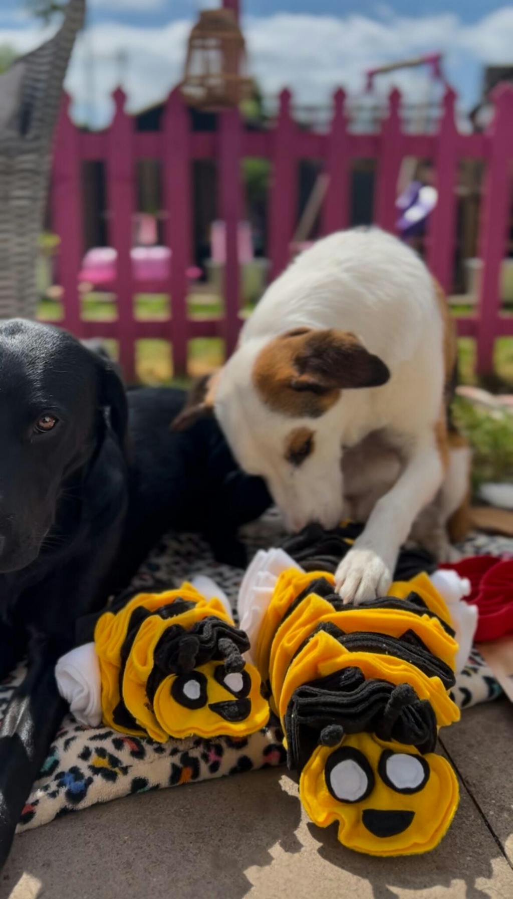 SnufflesShop – Snufflesshop