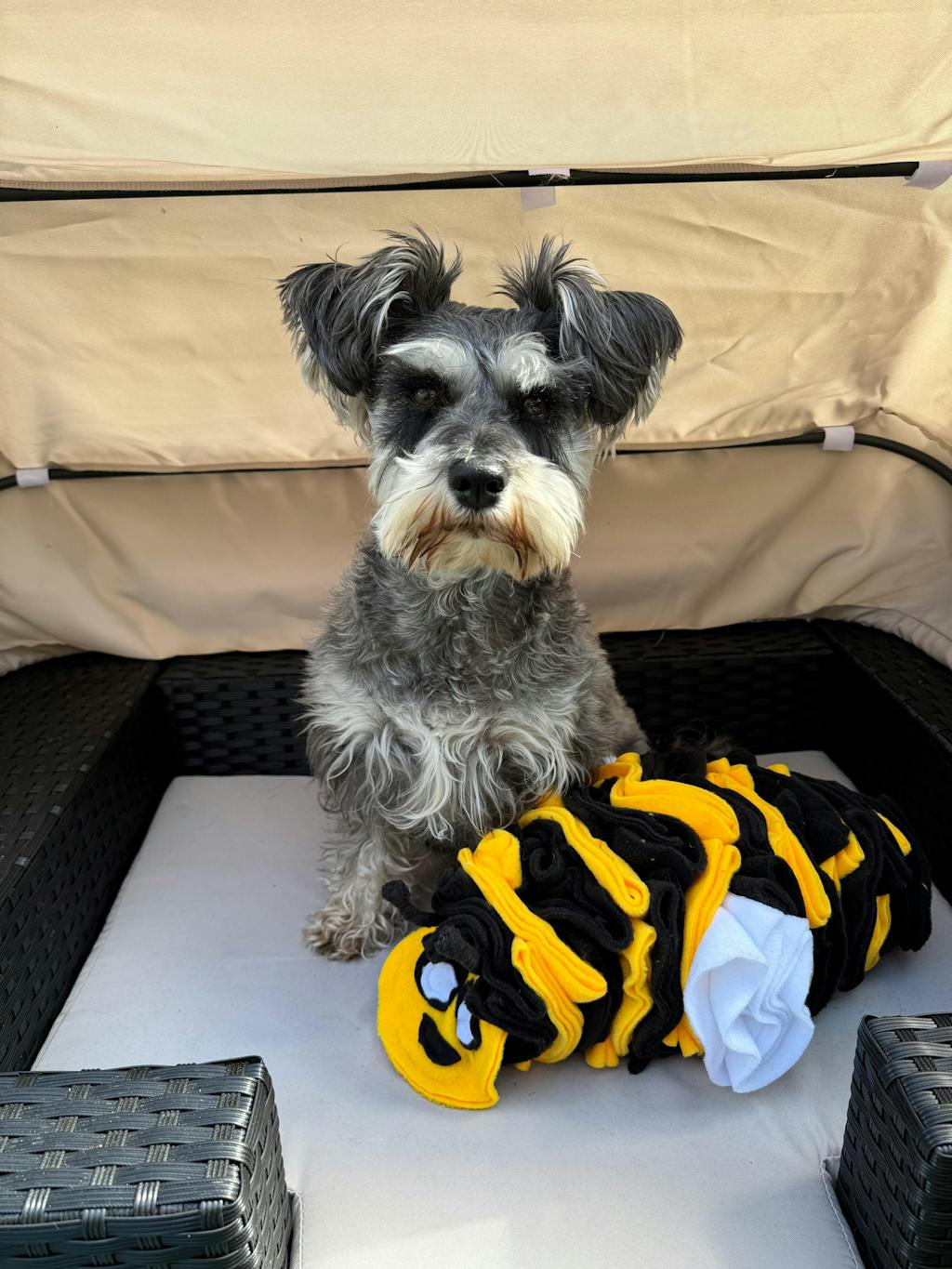 SnufflesShop – Snufflesshop