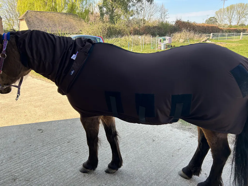 Bug Body Fly Rug - Snuggy Hoods – Snuggy Hoods Ltd
