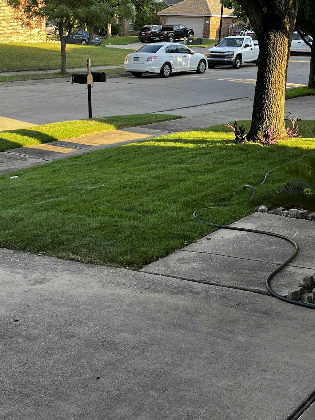 Lawnifi Summer Fertilizer Box | Sod Solutions