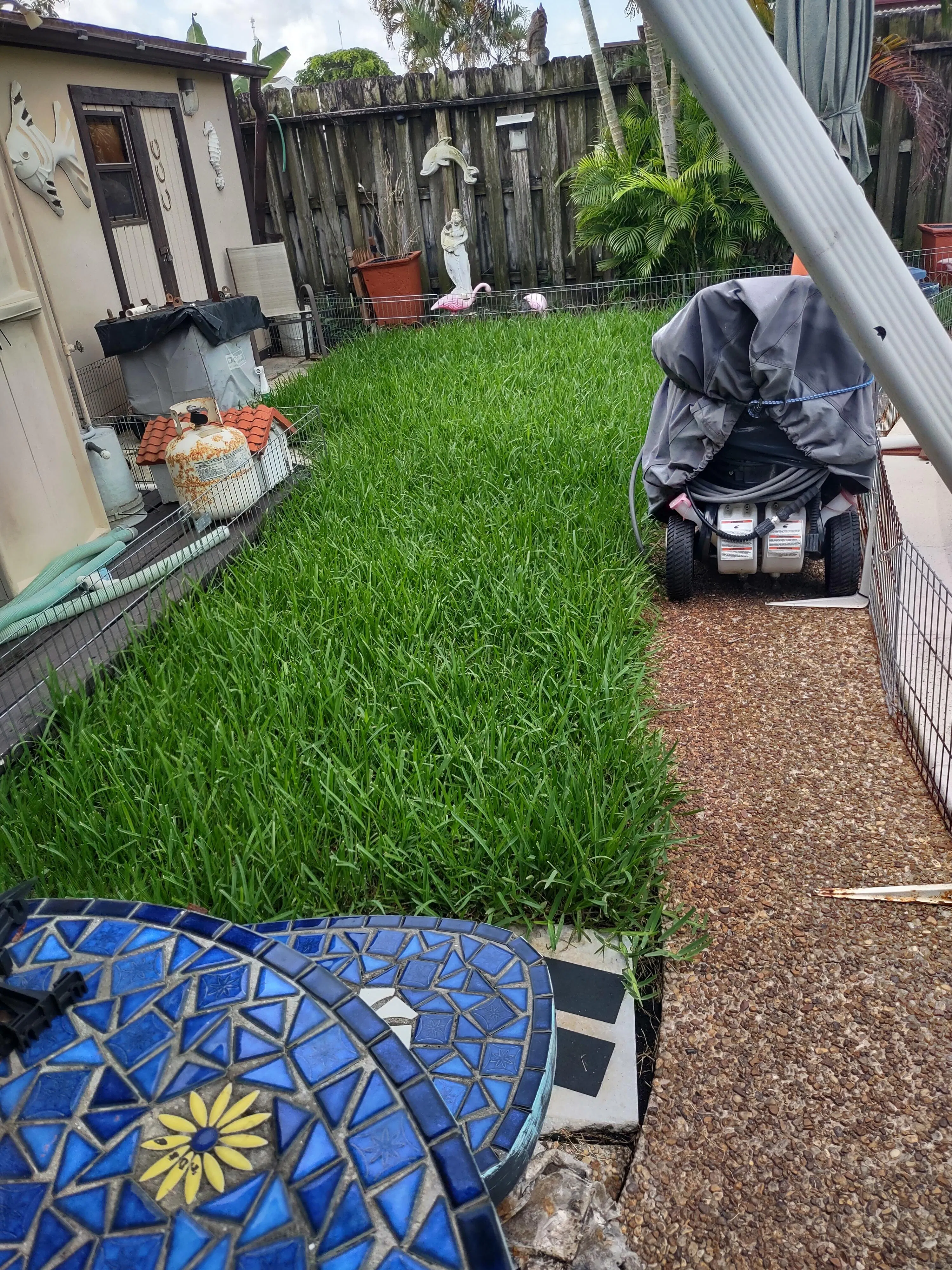 Lawnifi New Lawn Starter Fertilizer Box | Sod Solutions