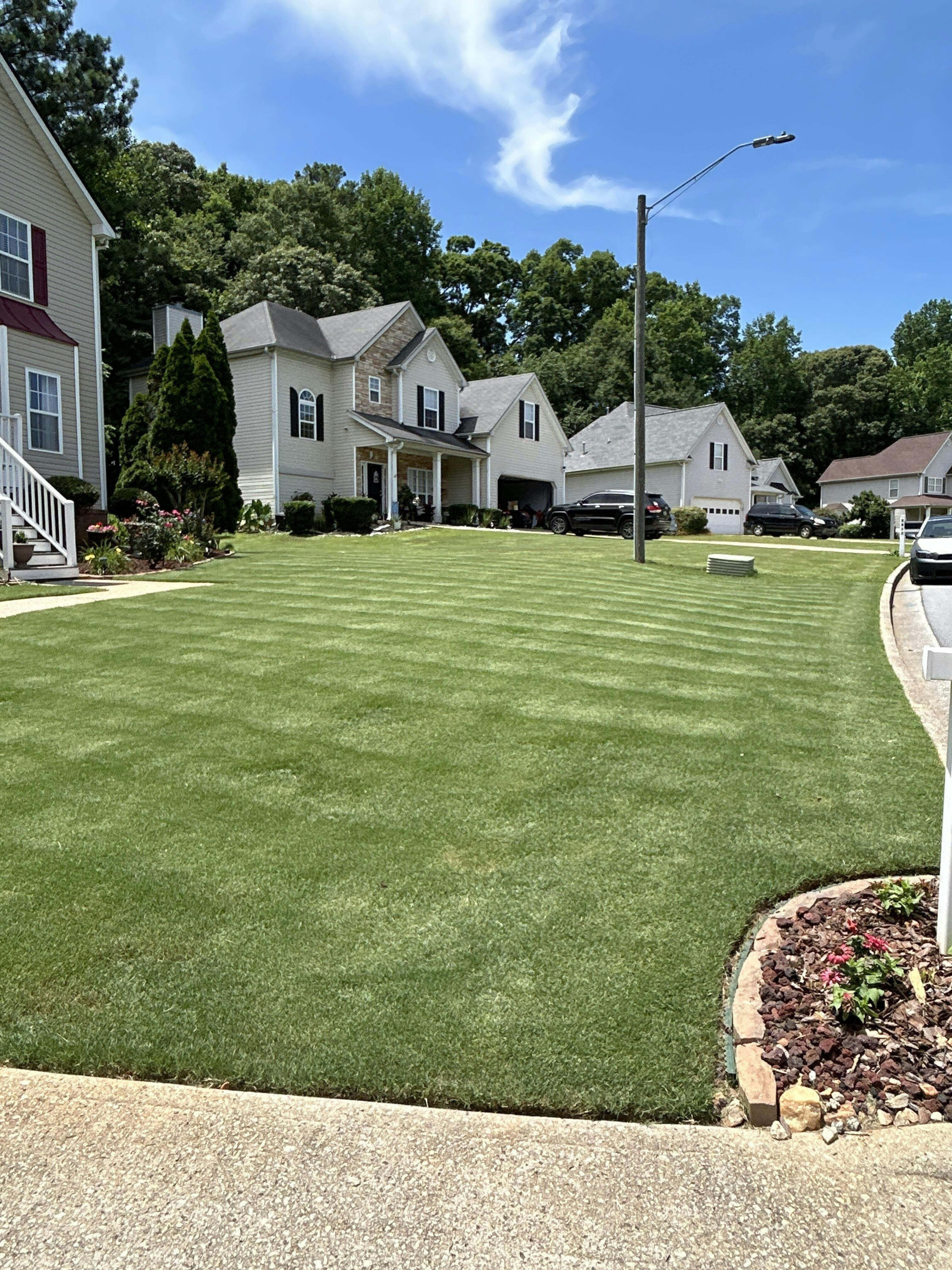 Lawnifi New Lawn Starter Fertilizer Box | Sod Solutions